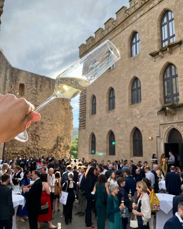 IVAS 2022 - International Conference on Wine Research to be held in Germany for the first time